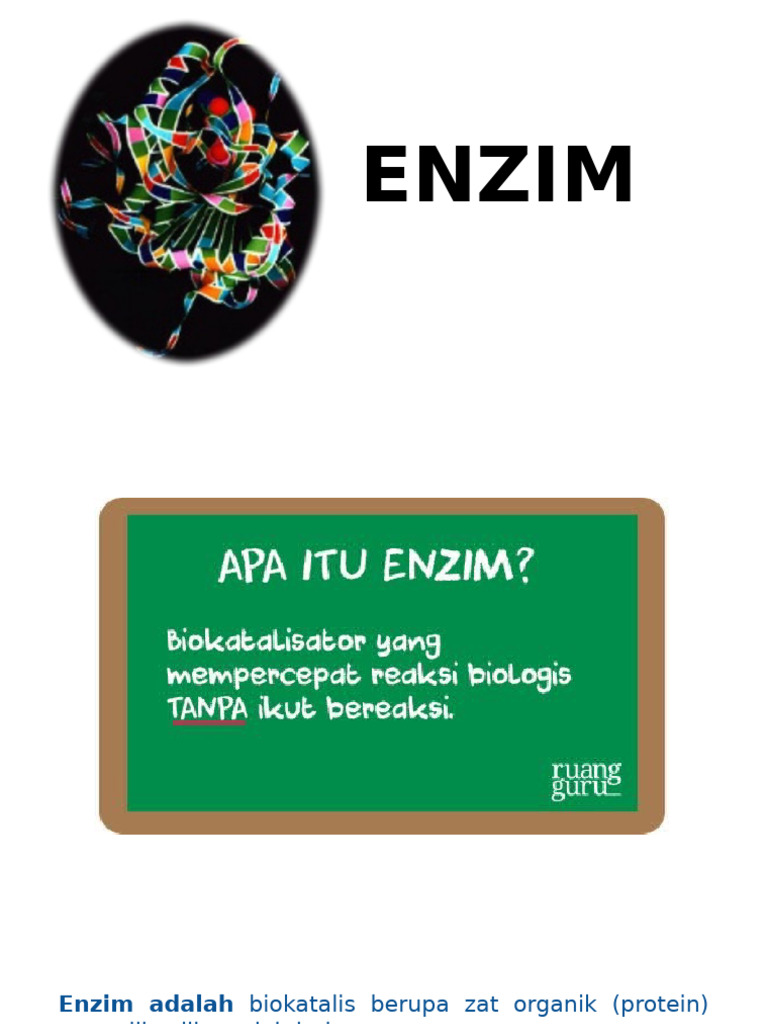 ENZIM | PDF