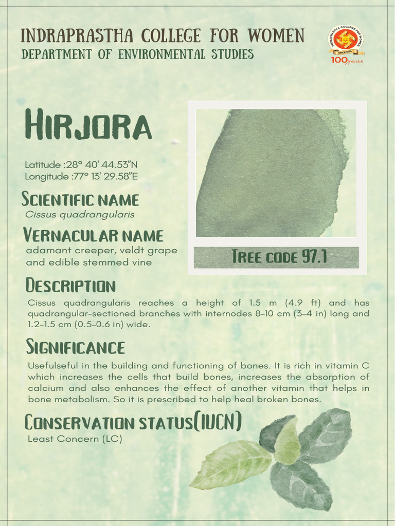 18-08FINAL TREE CENSUS IP - Part470 | PDF