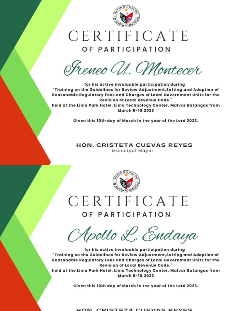 (Bulk) Certificate of Participation | PDF