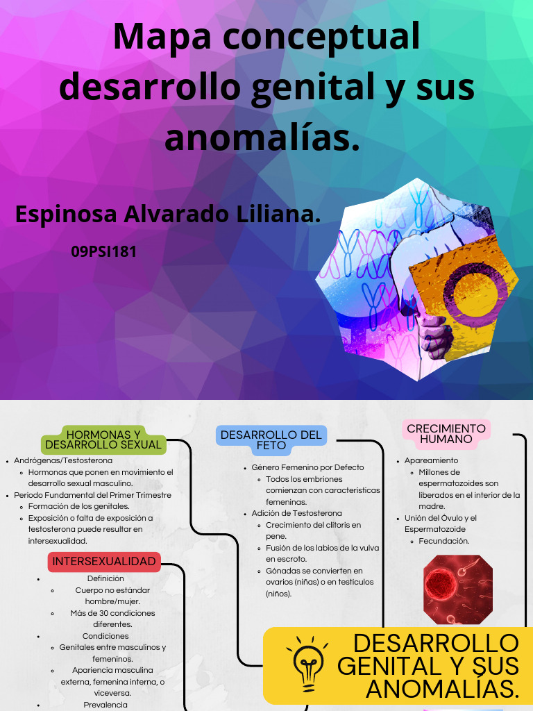 Mapa Conceptual | PDF