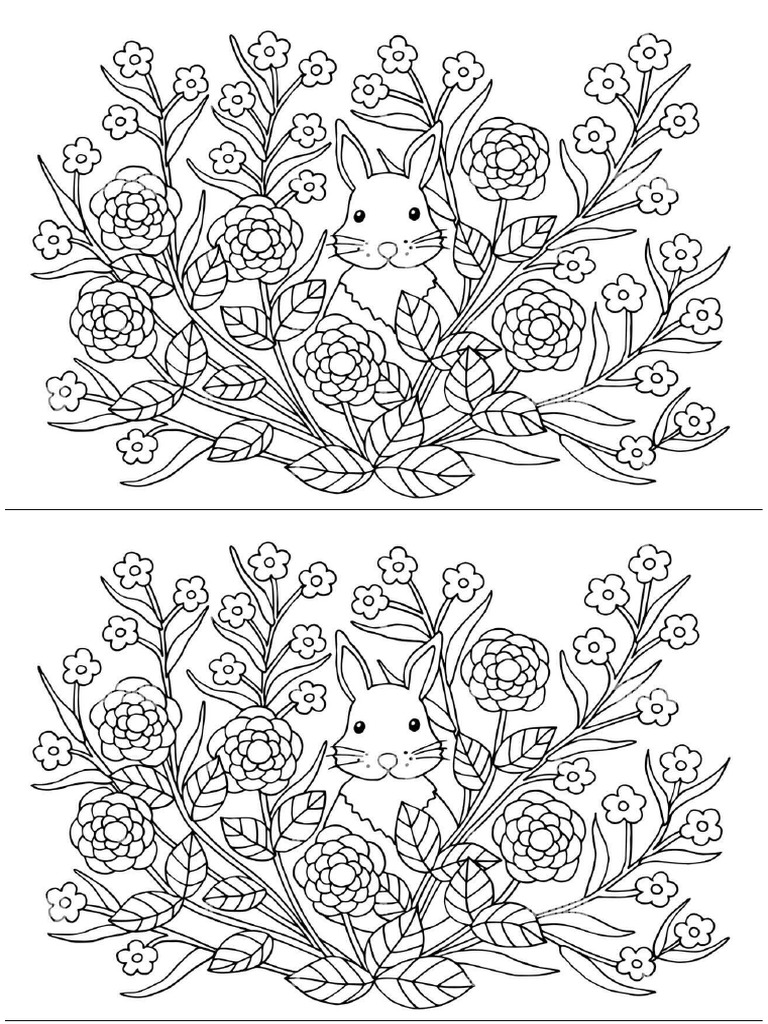 Abstract Rabbit | PDF