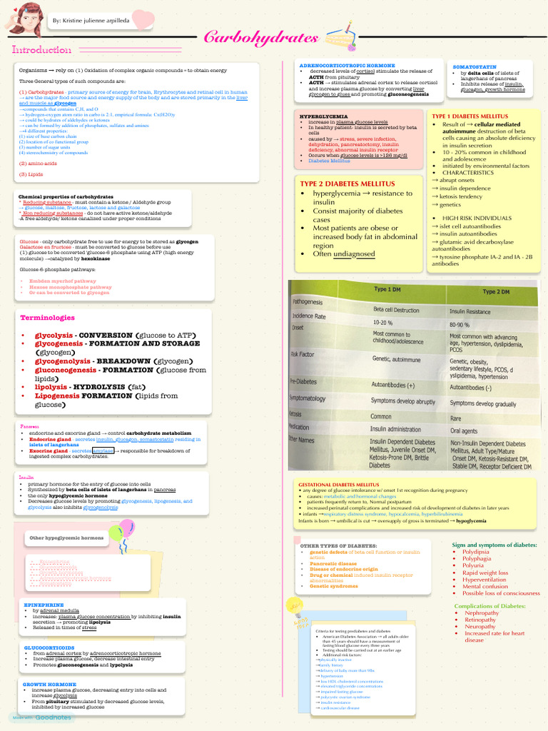 CC Carbohydrates | PDF