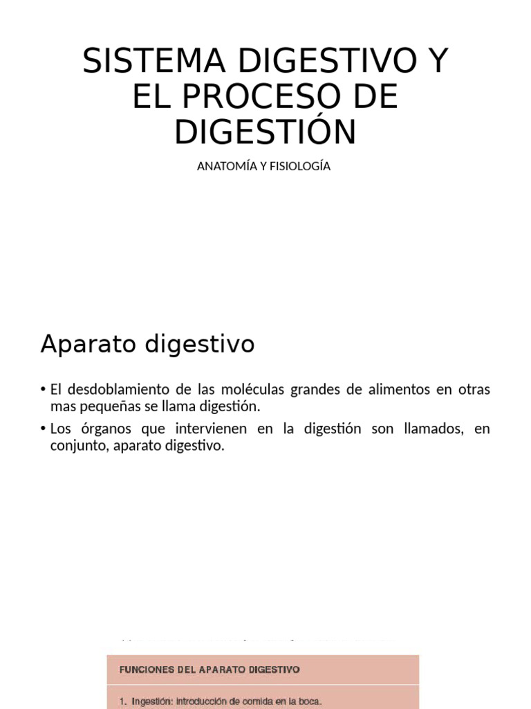 Sistema Digestivo y El Proceso de Digestion | PDF