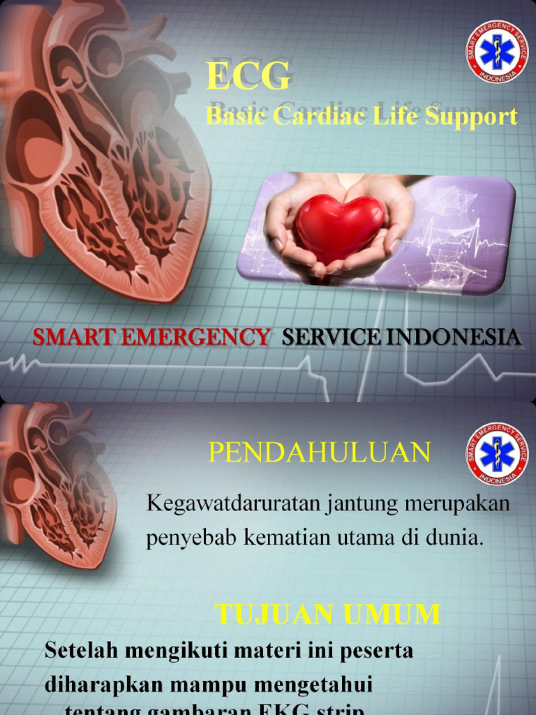 Ekg Dan Defibrilasi | PDF