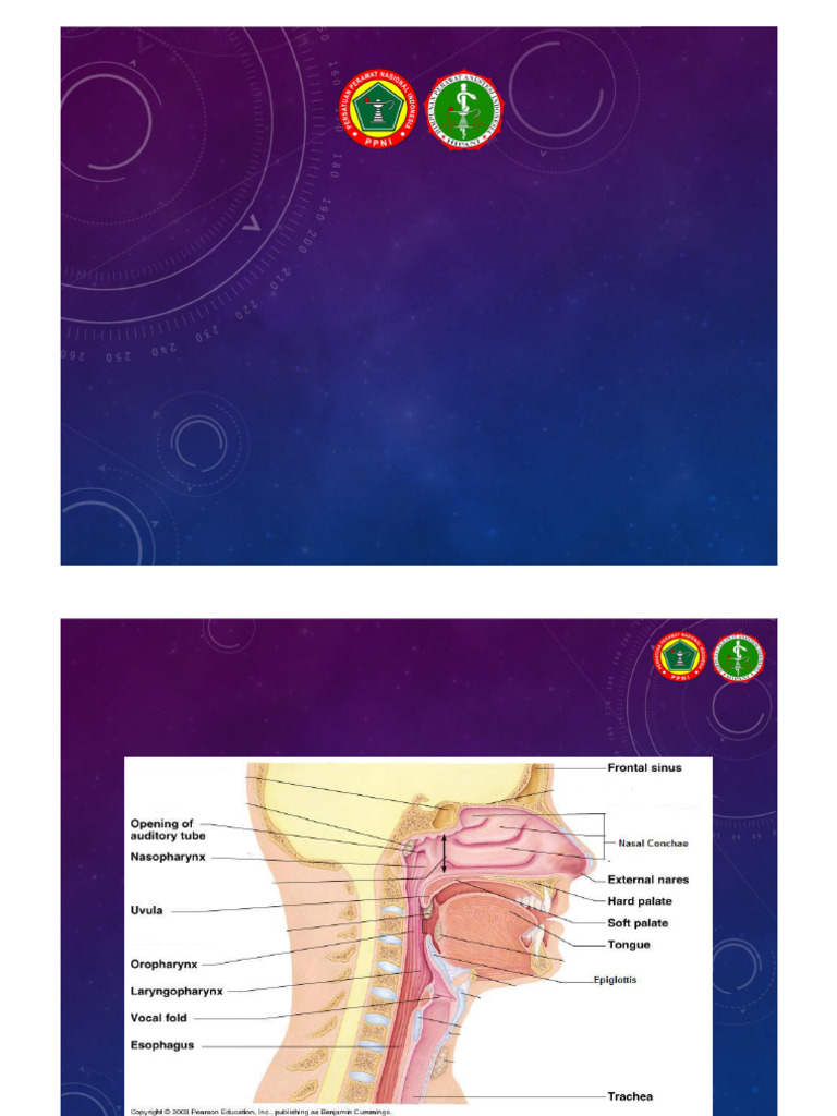 Intubasi Endotracheal | PDF