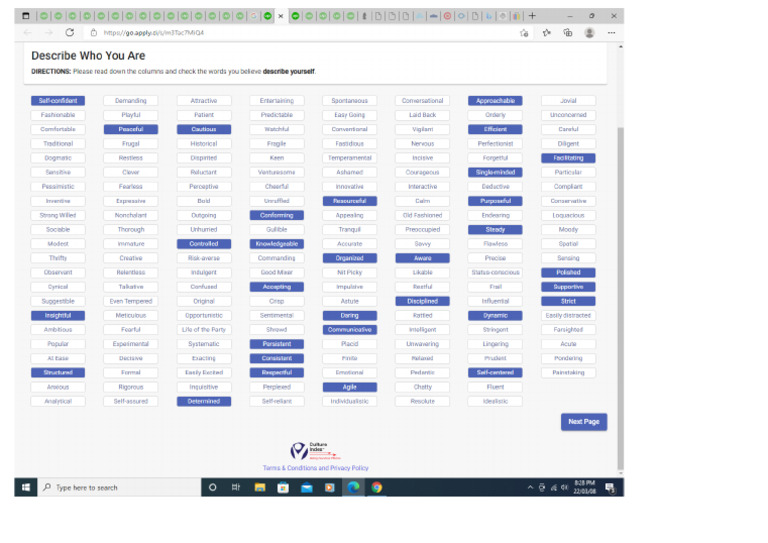 Describe Your Personality A Snapshot. | PDF