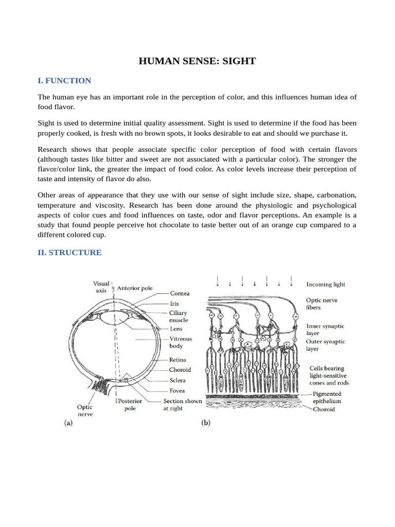 Human Senses in Food Sensory Evaluation | PDF