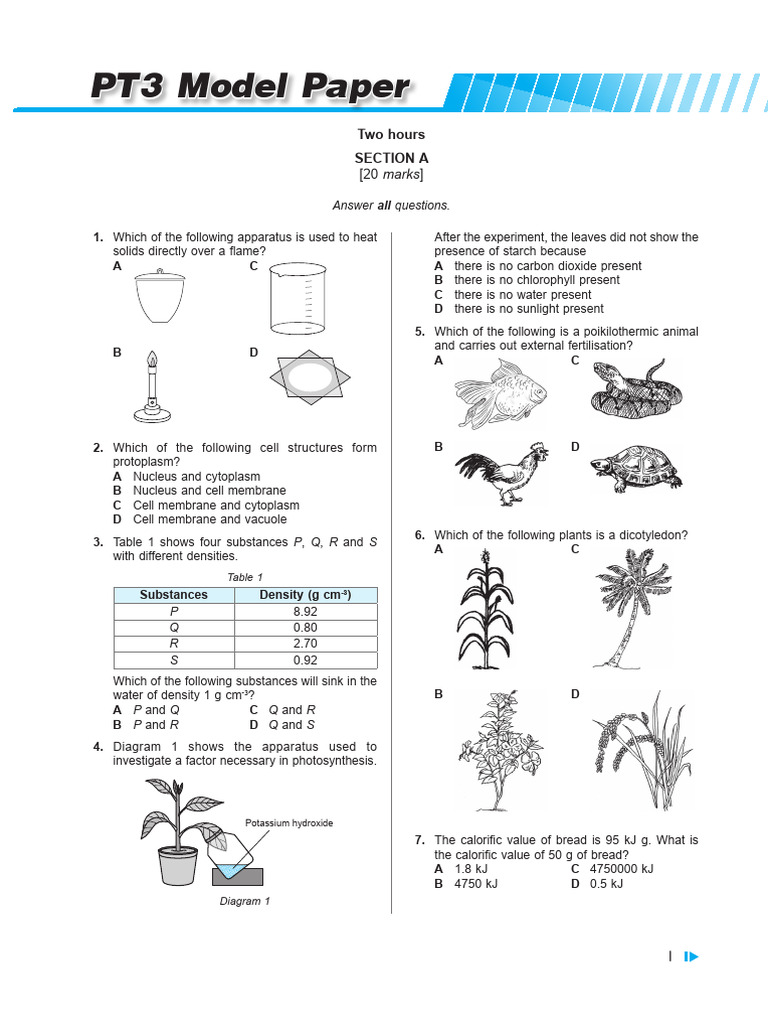 PT3 Model Paper&Answers | PDF