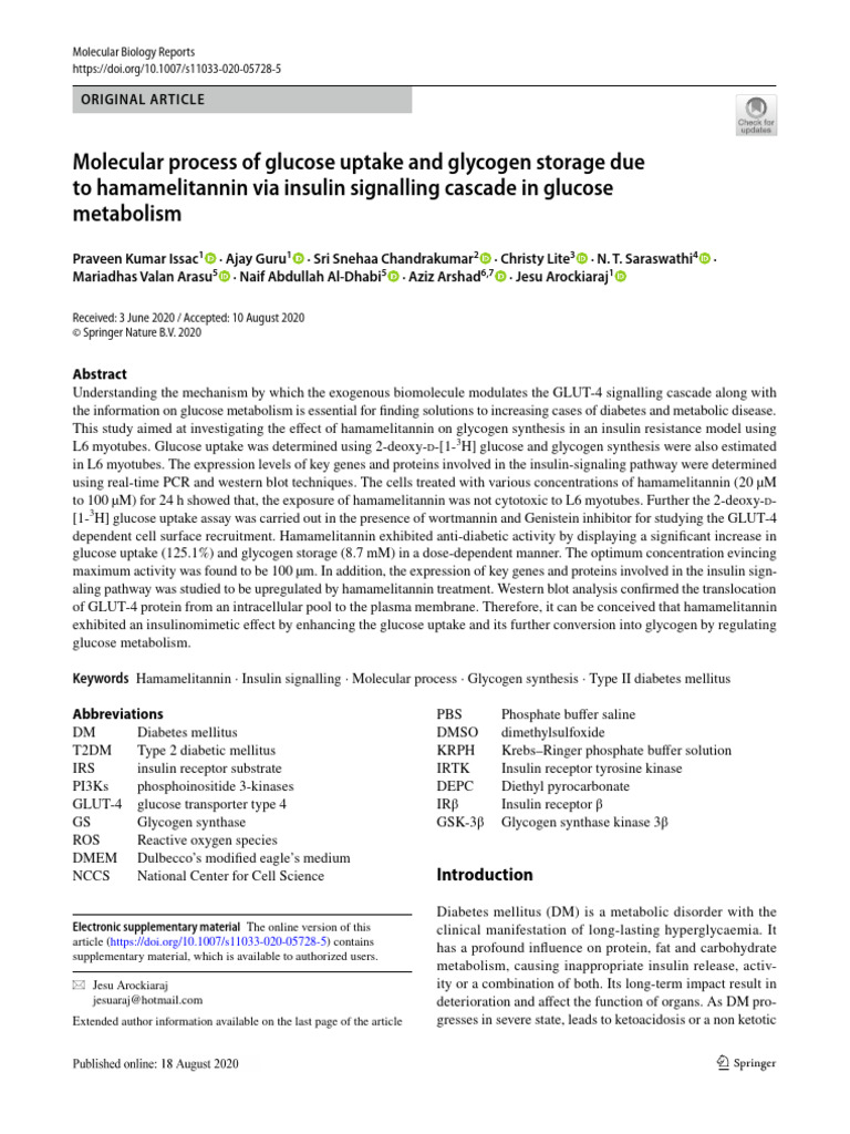 Molecular Process of Glucose Uptake and Glycogen Storage Due To ...