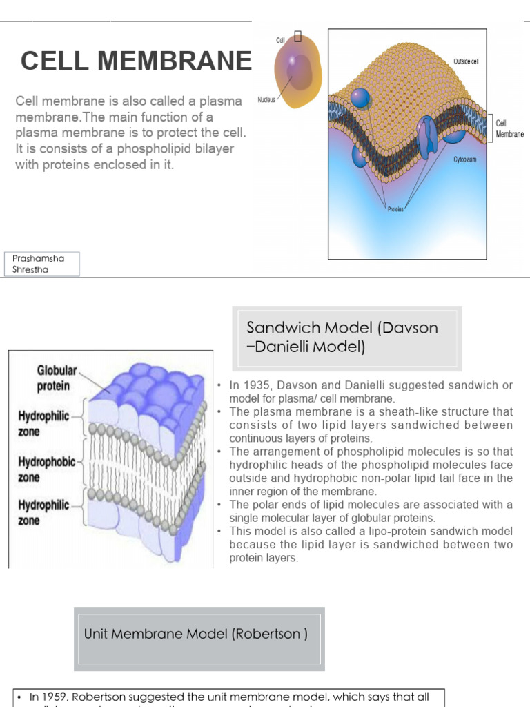 Cell Bio 2 | PDF