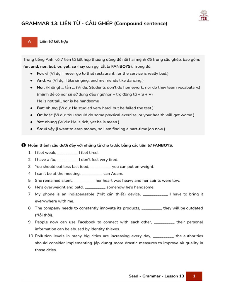 Ele - Grammar 13 - Class Handout | PDF