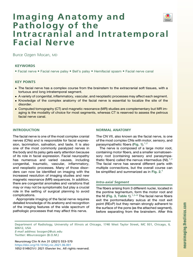 T Bone. Facial Nerve | PDF