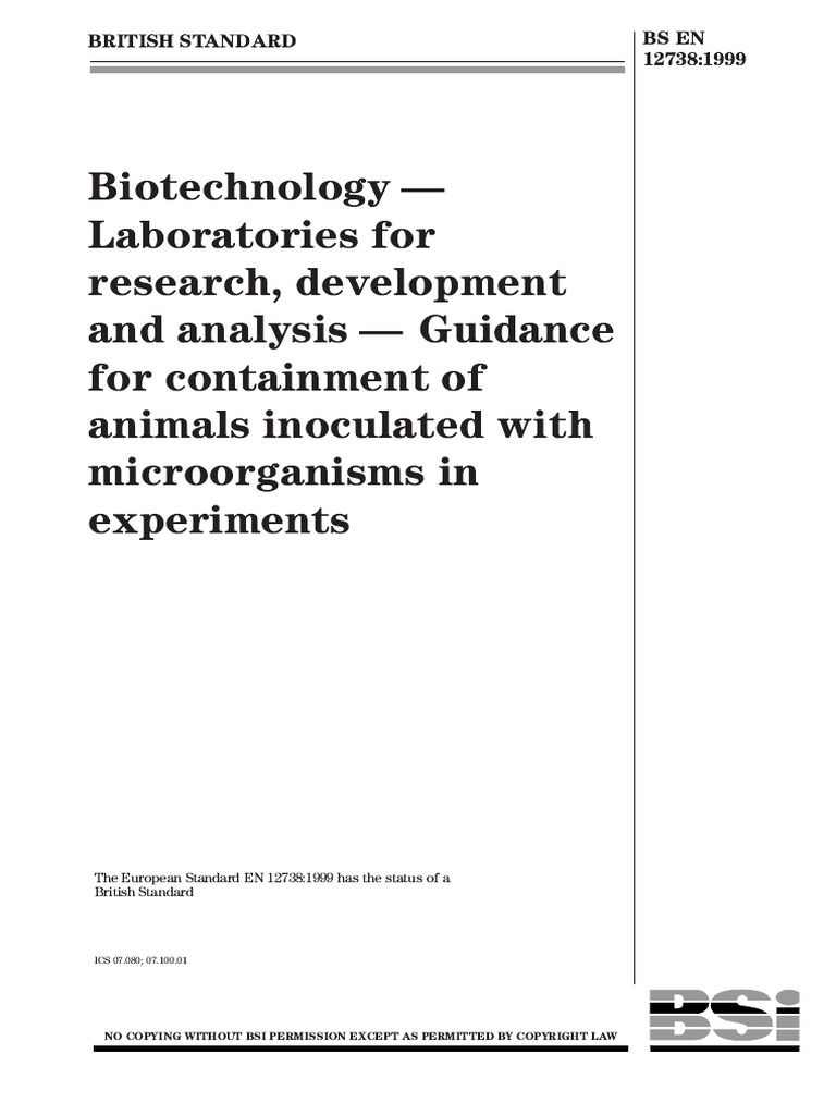 BS en 12738-1999 | PDF