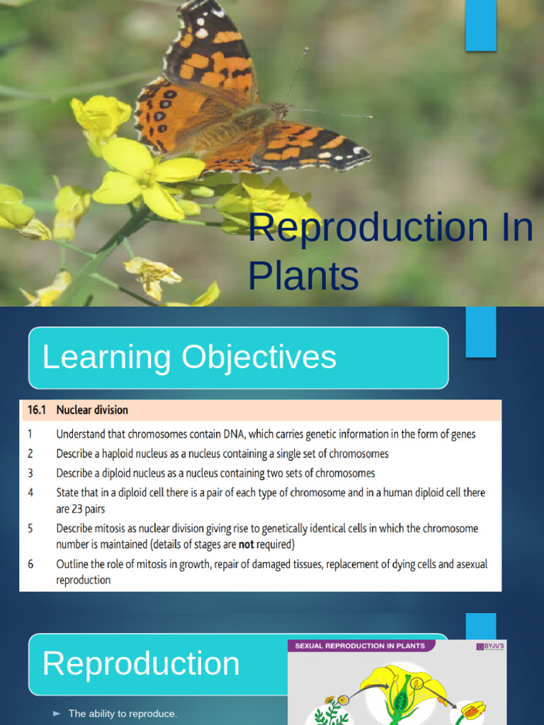 Reproduction in Plants | PDF