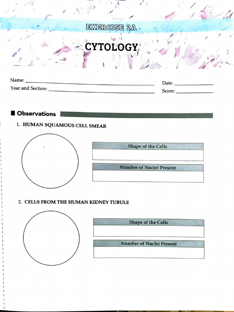 Cytology Exercise | PDF
