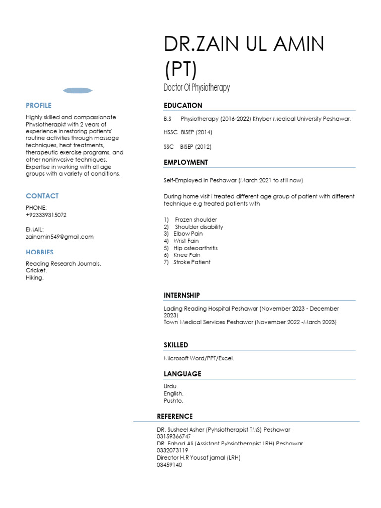 Zain CV MS Word | PDF