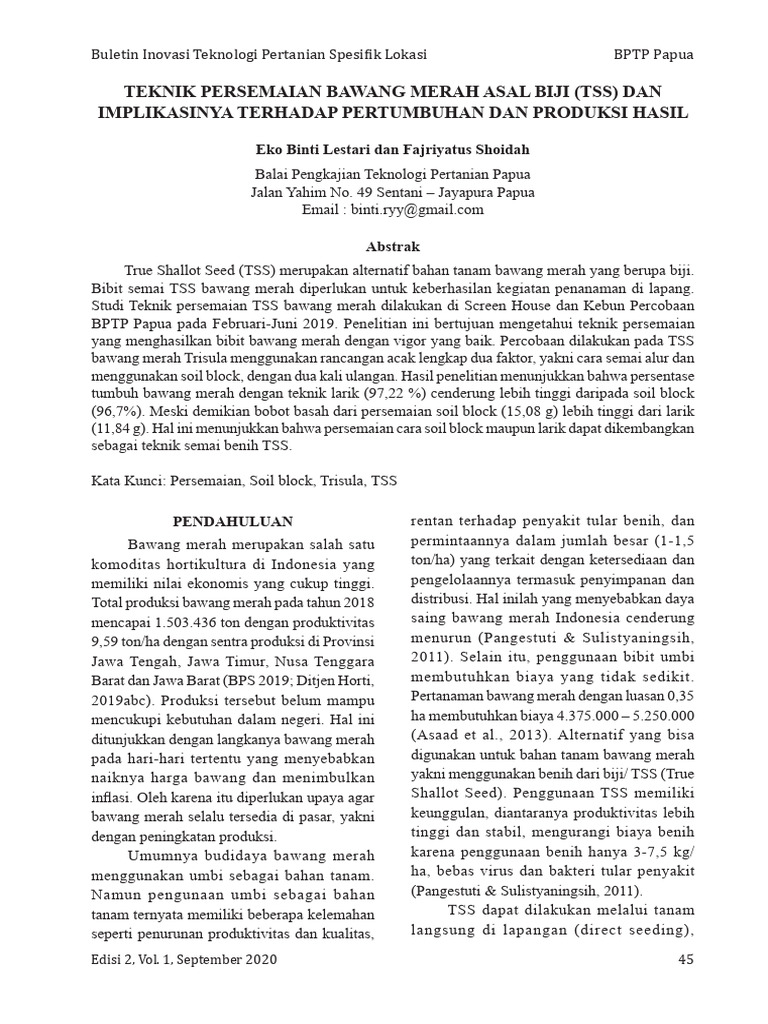 Teknik Persemaian Bawang Merah Asal Biji (TSS) | PDF