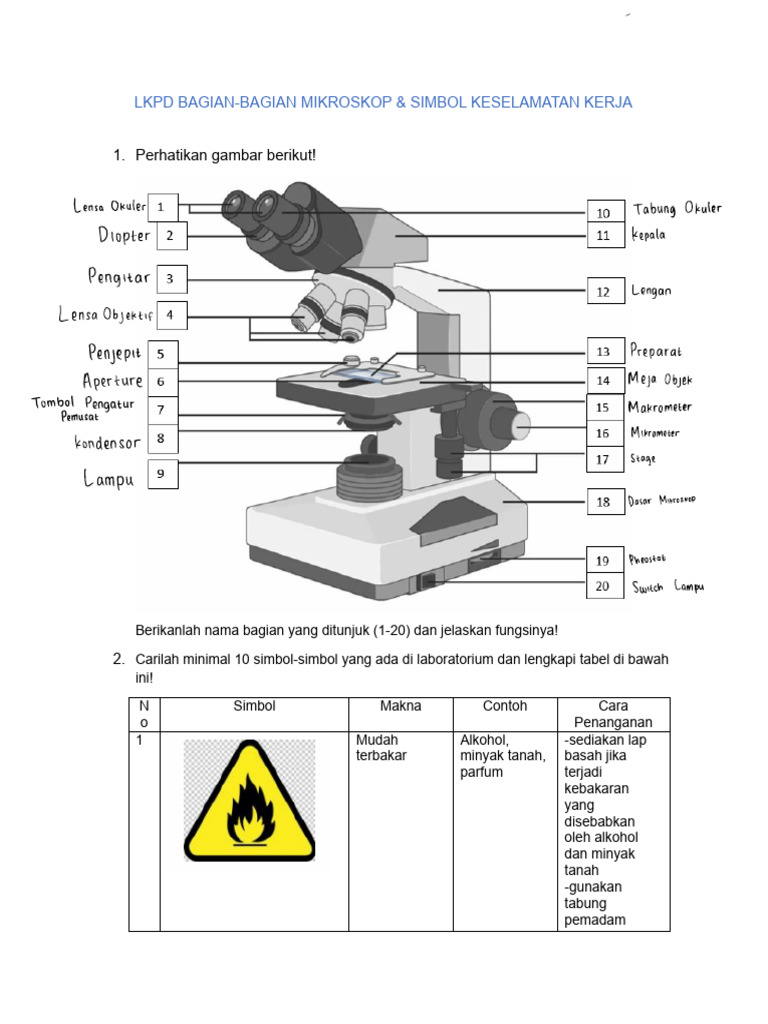 LKPD Bagian Mikroskop | PDF
