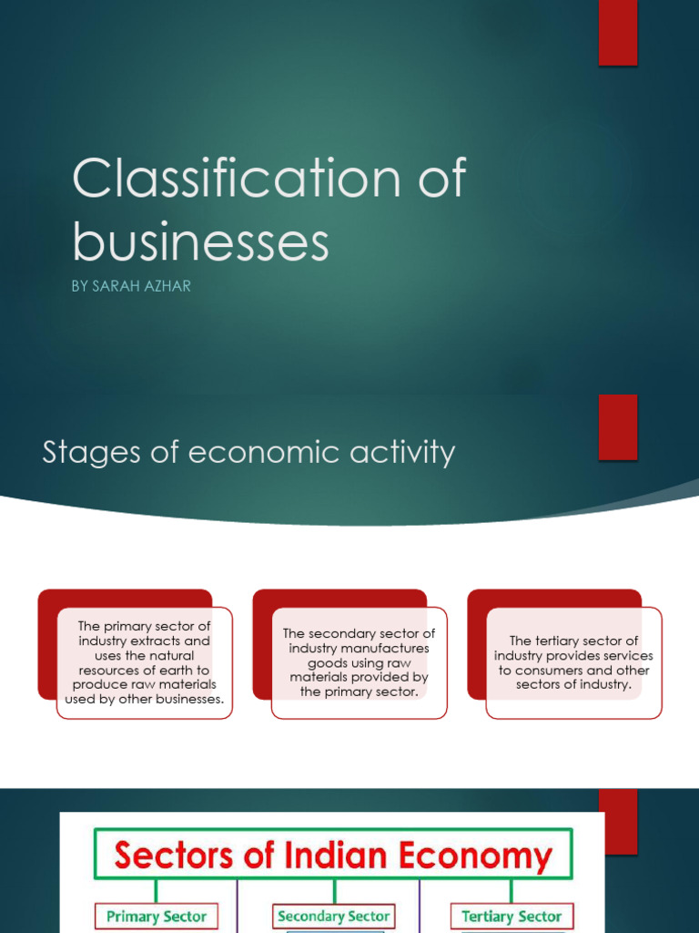 Classification of businesses | PDF