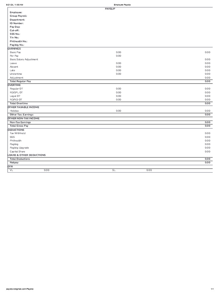 Employee Payslip - pdf111 | PDF