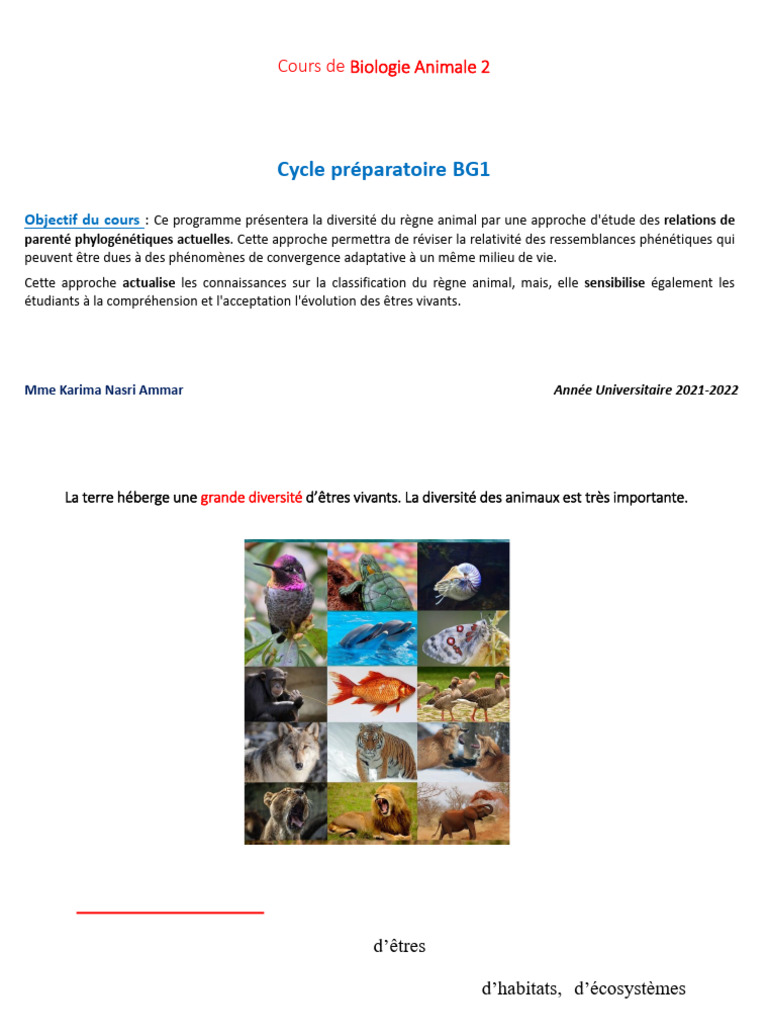 1.introduction BA2 | PDF