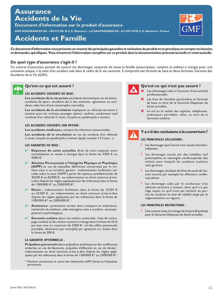 IPID Accidents Et Famille | PDF