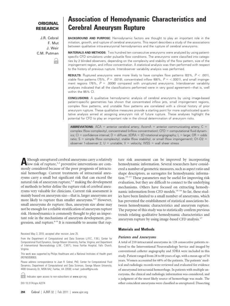 Cebral2010 Unstable Flow Pattern | PDF