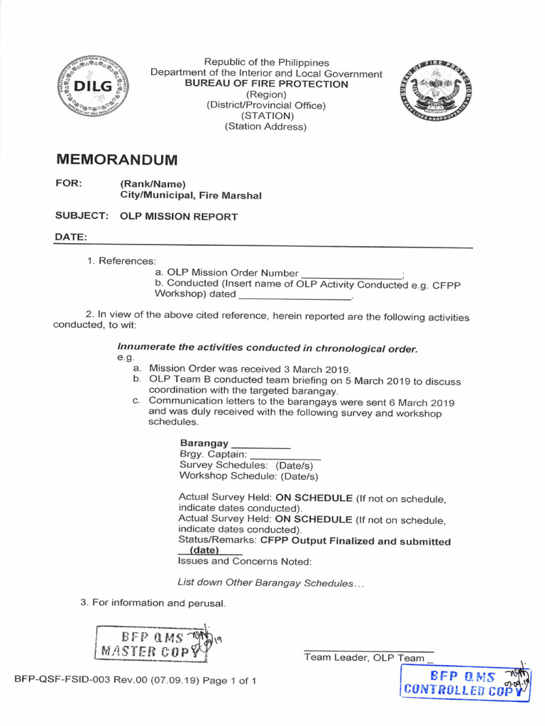 OLP Mission Report Form | PDF