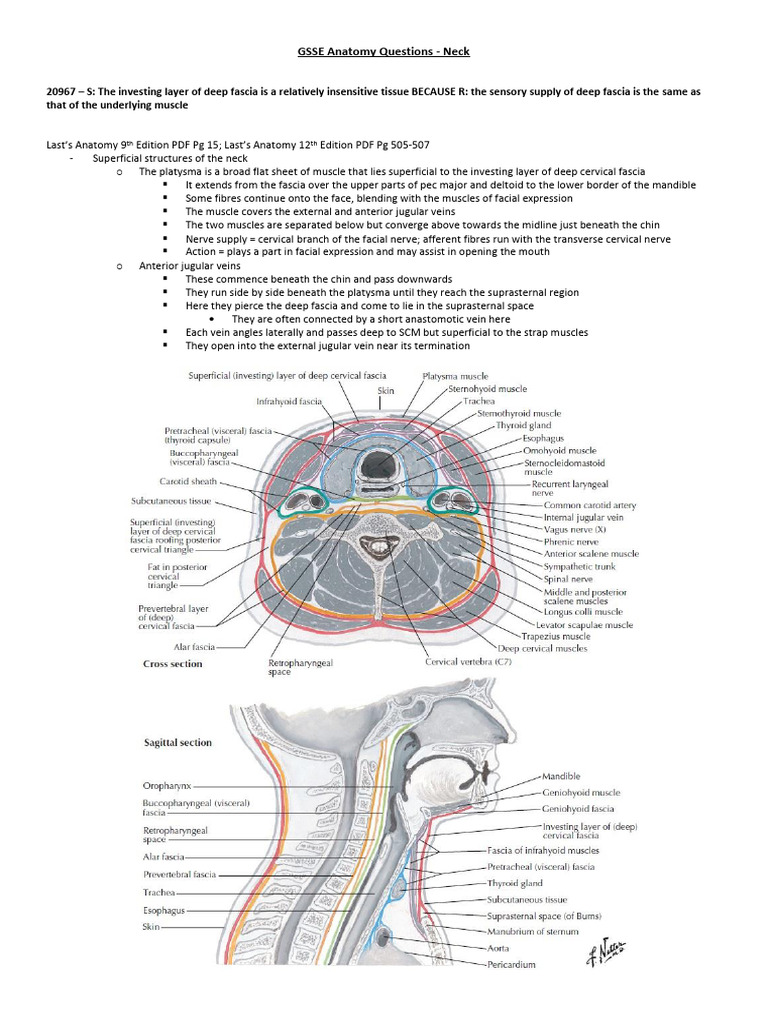 Neck Bank QA | PDF