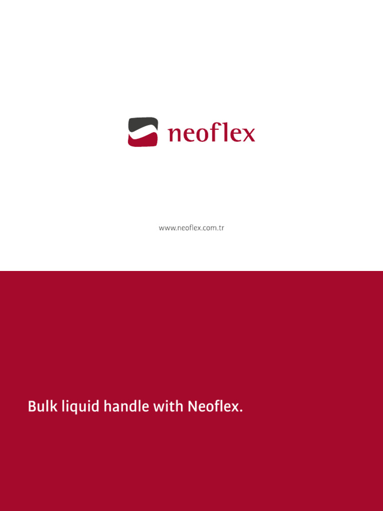 Neoflex Corporate 2023 | PDF