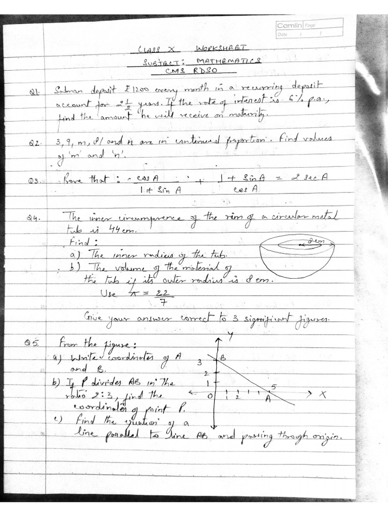 Class X Maths Worksheet | PDF