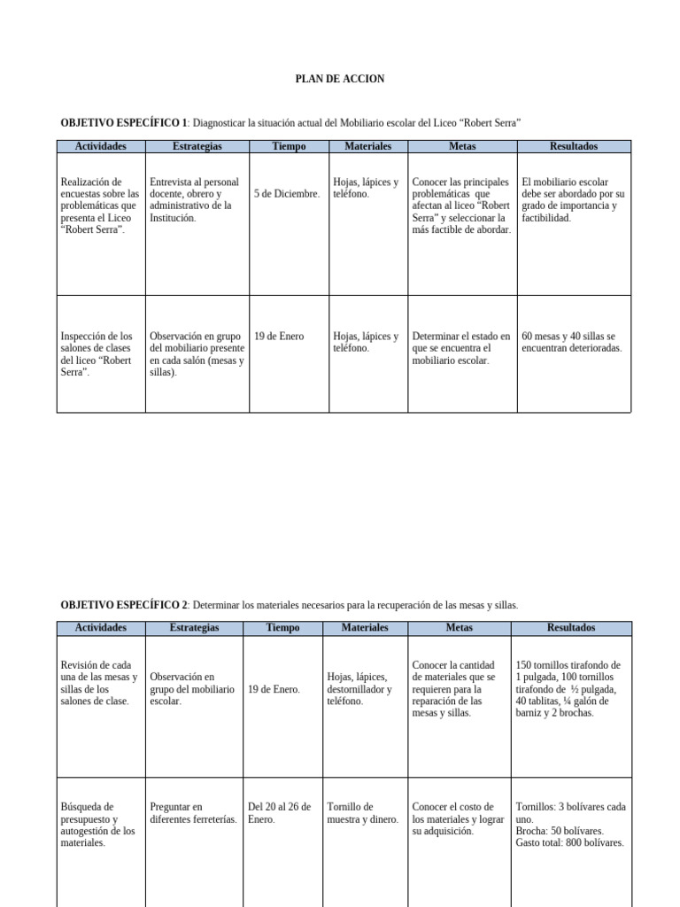 Plan de Accion | PDF