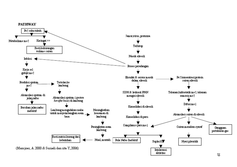 Pathway Pneumonia | PDF