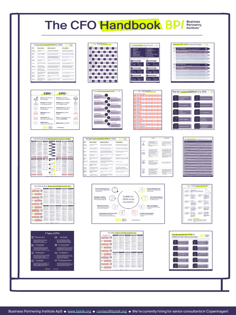 The CFO Handbook | PDF