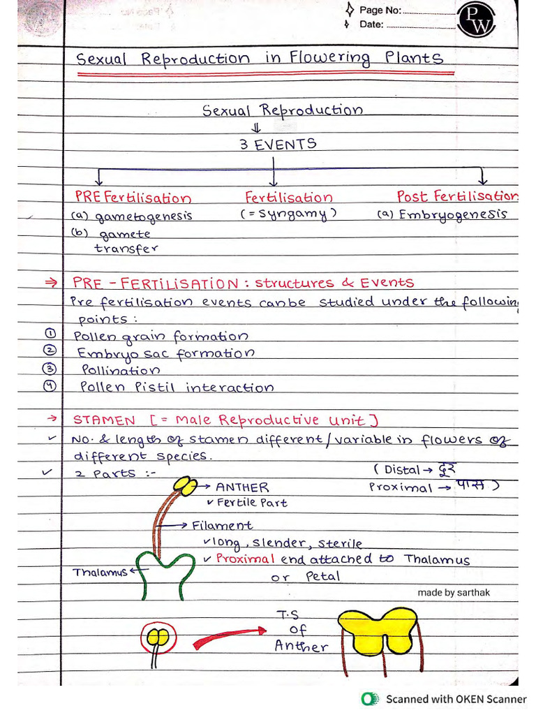 Sexual Reproduction in Flowering Plants - Handwritten Notes - Yakeen 3. ...