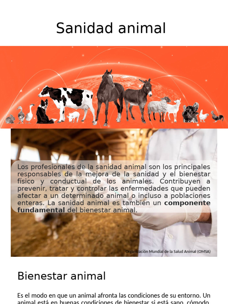 Sanidad Animal | PDF