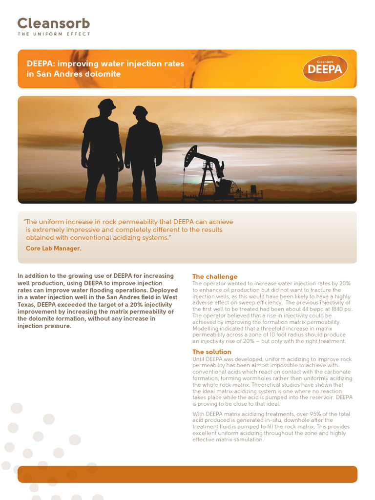 Cleansorb DEEPA San Andres Injector | PDF | Permeability (Earth ...