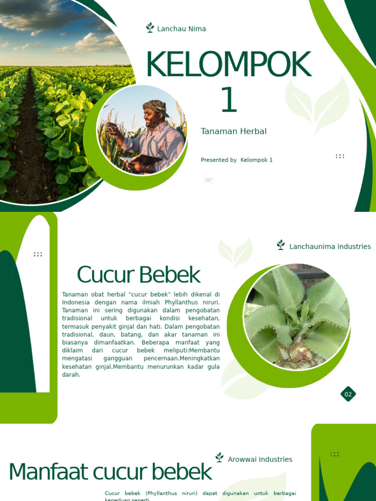 Kelompok 1 12C | PDF