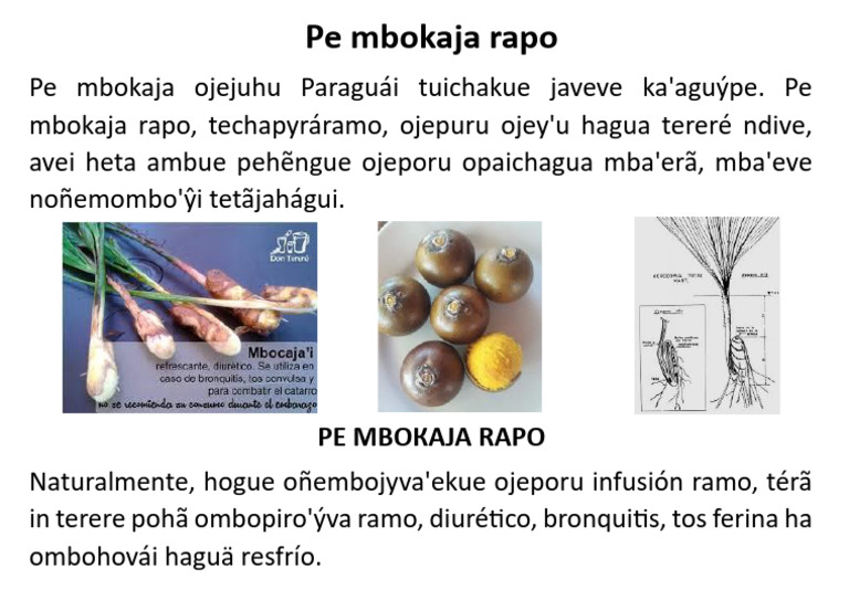 Pe Mbokaja Rapo | PDF