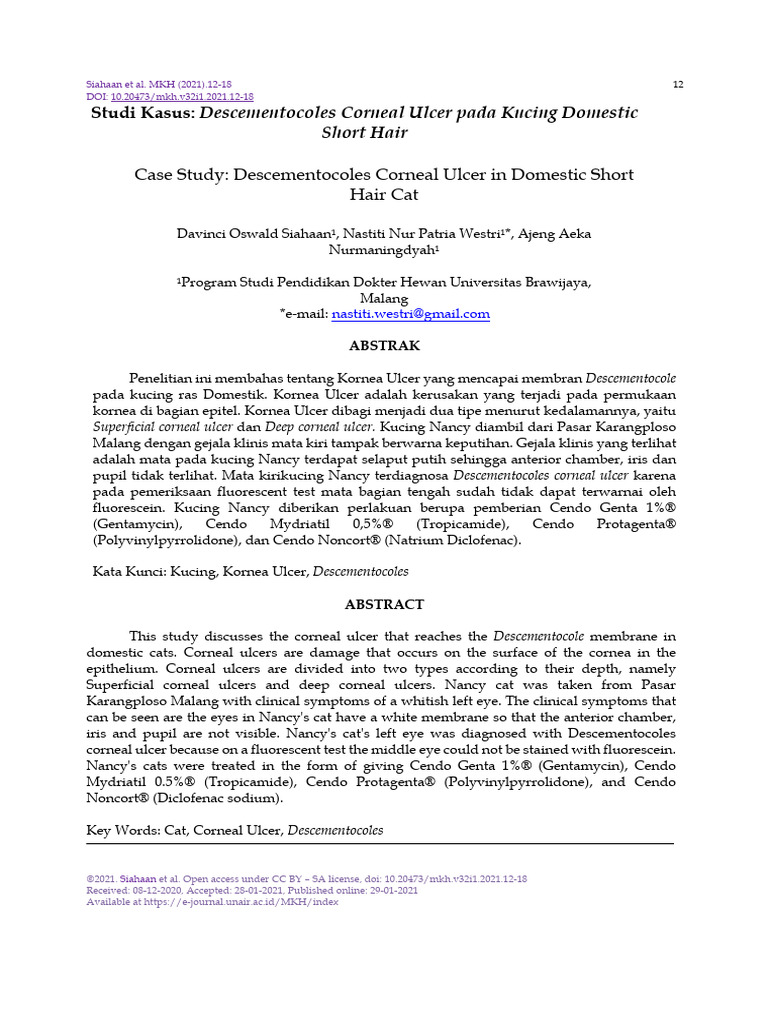 jurnal studi kasus kornea ulcer pada kucing | PDF