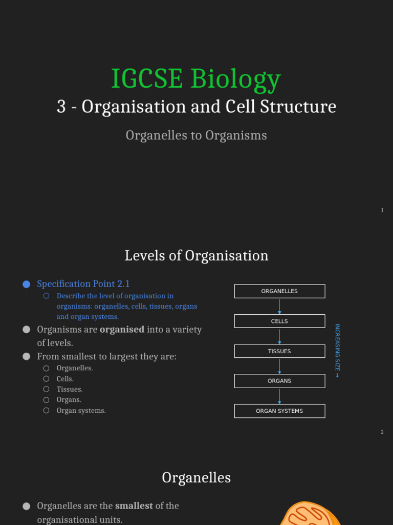 IGCSE Biology Lecture 3 Organisation and Cell Structure | PDF
