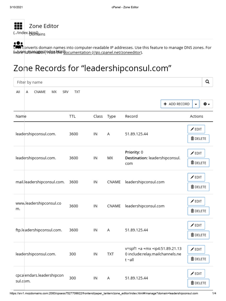 DNSs Julio Ledership | PDF