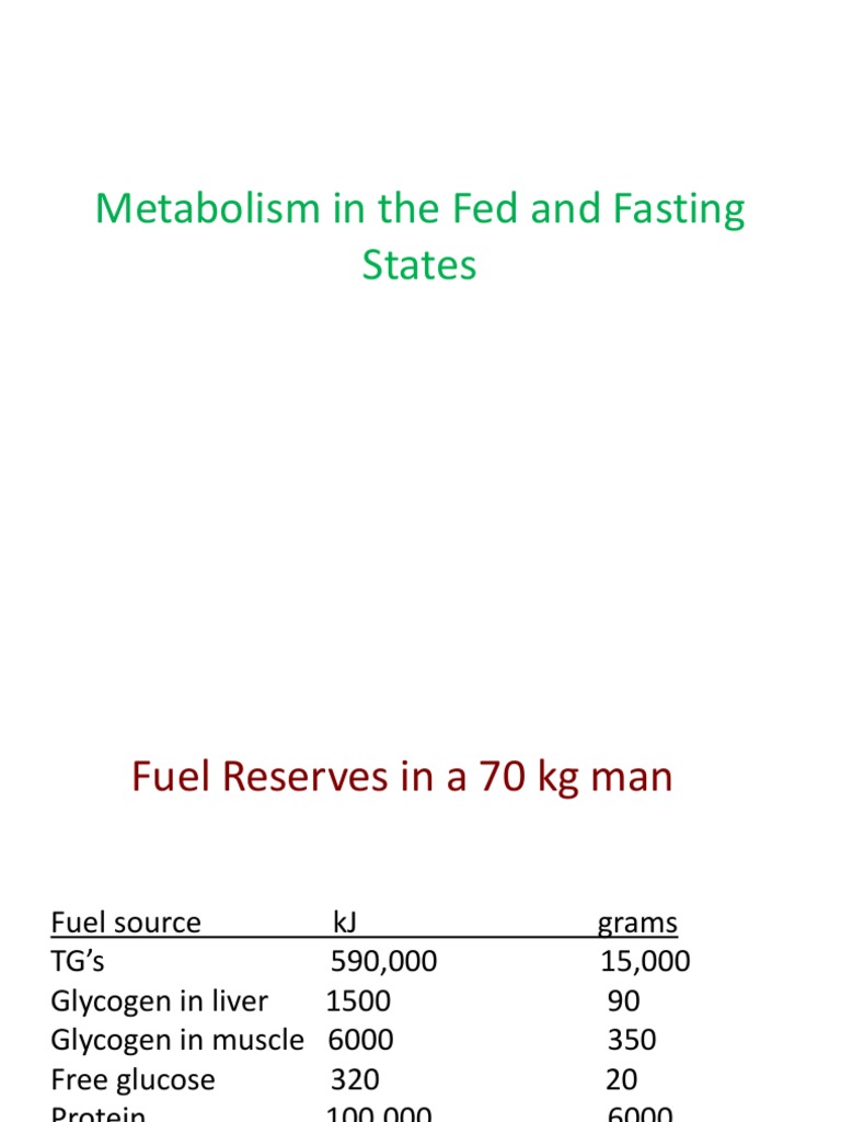 Metabolism in Fed and Fasting States | PDF | Metabolism | Triglyceride