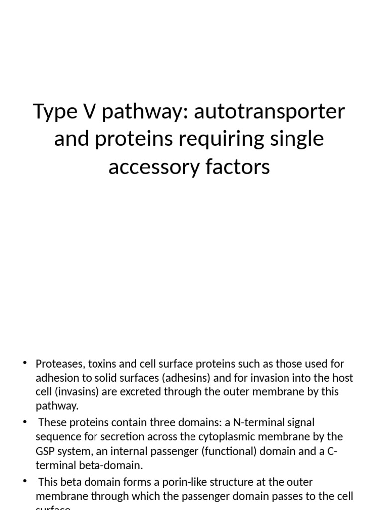 Type V pathway | PDF