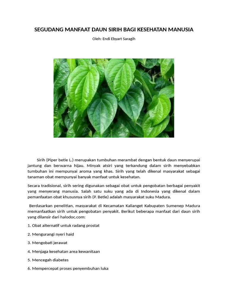 Endi | PDF