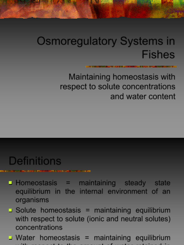 Osmo Regulation | PDF