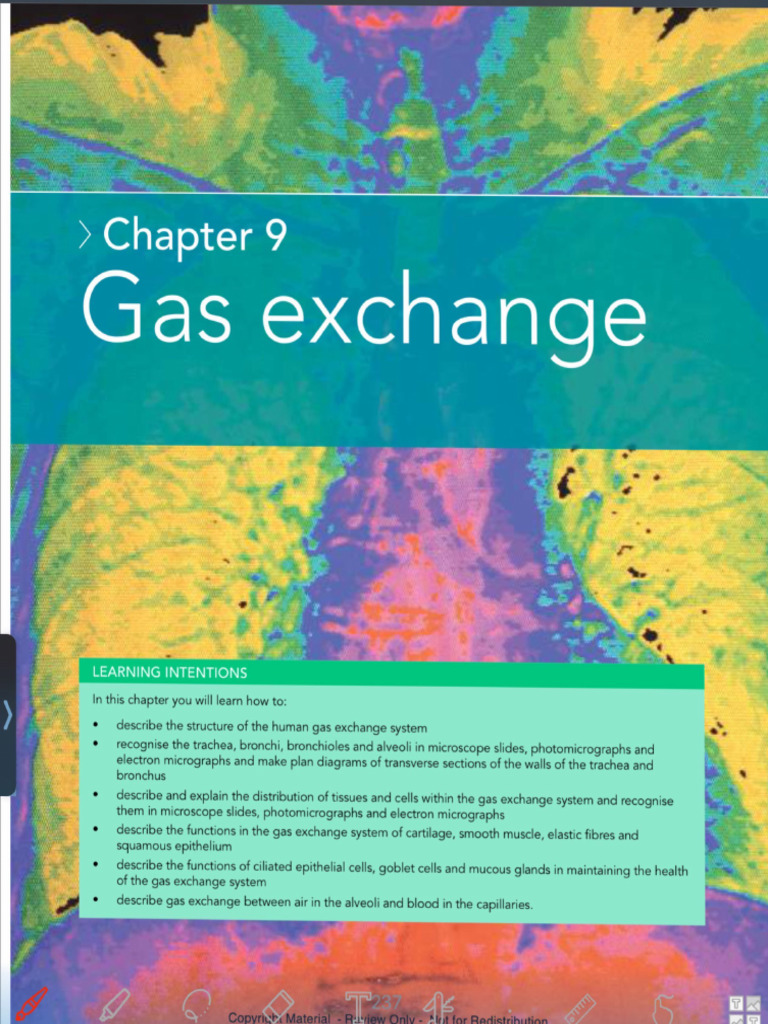 Bio-Chp 9 Full Note | PDF