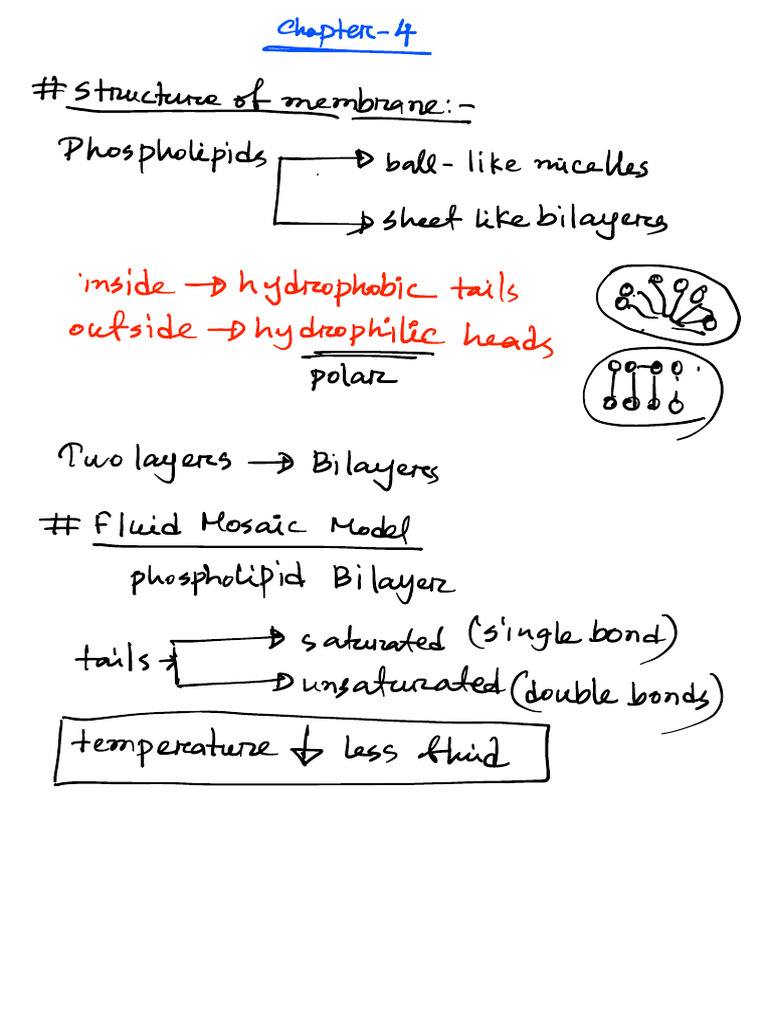 Bio Chapter 4 Handnote | PDF