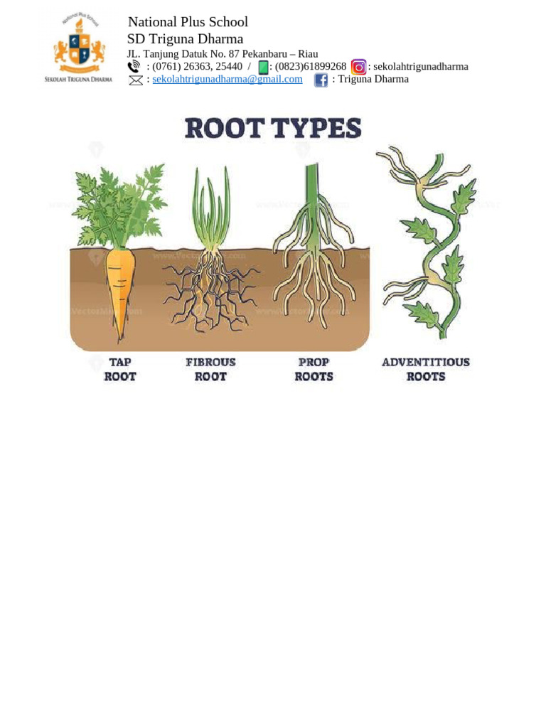 Botany Worksheet | PDF