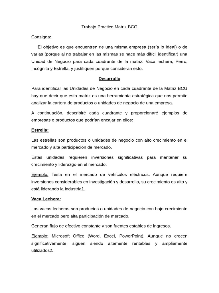 Trabajo Practico Matriz BCG | PDF